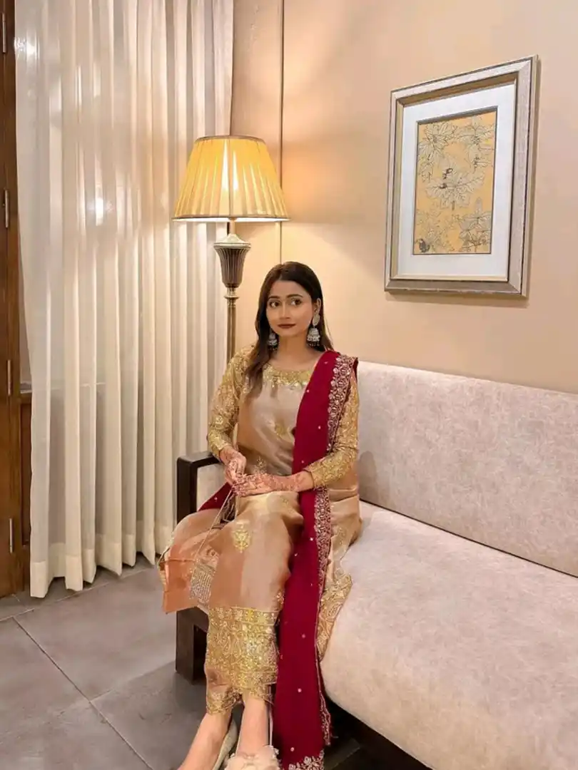 HEAVY JIMMY CHU SILK. – Sumaiya Fashion BD